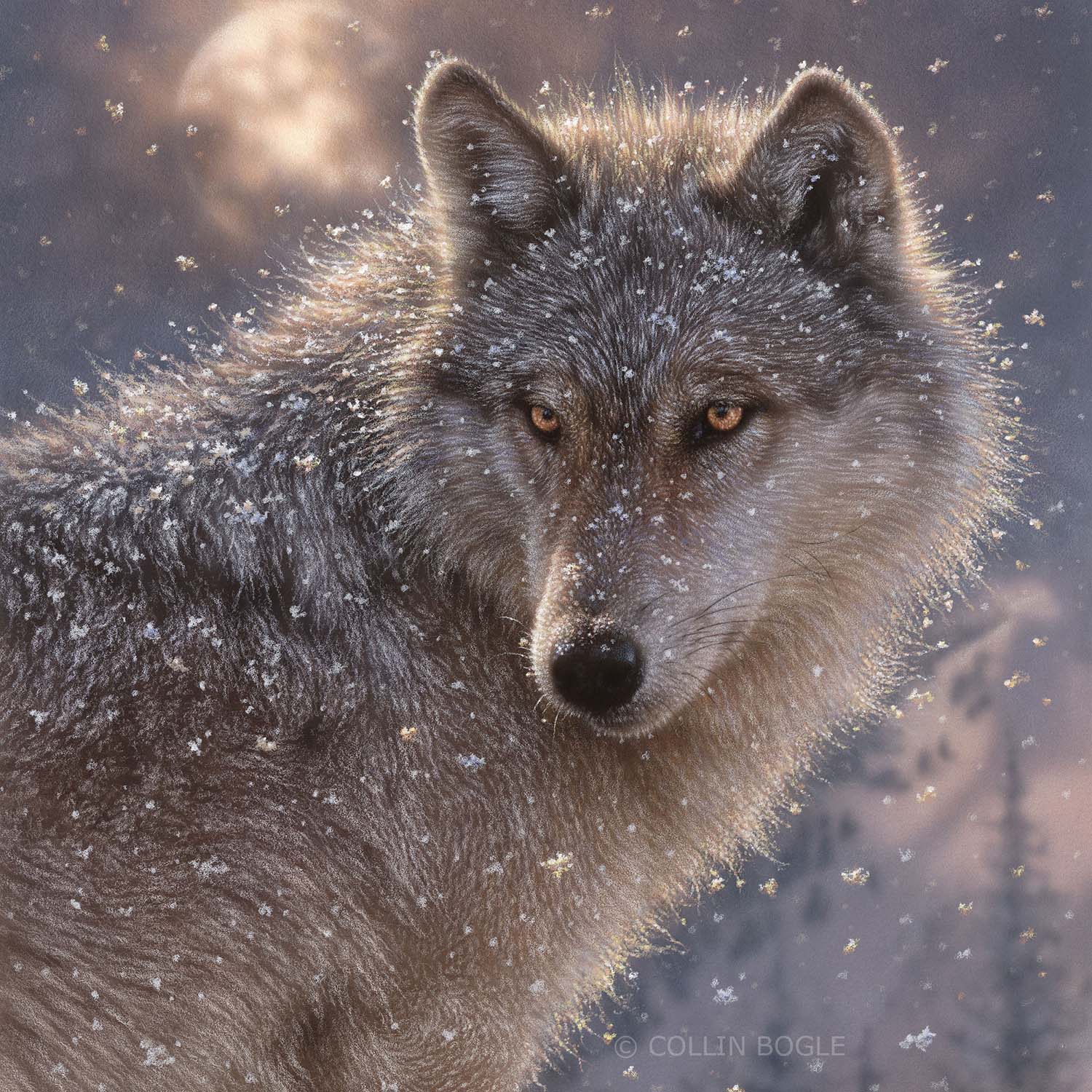 Wolf Art Prints, Wolf Paintings, Wolves Artist Collin Bogle – Collin ...