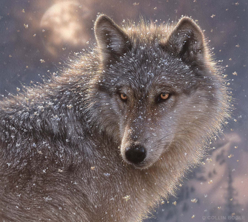 Wolf Art Prints, Wolf Paintings, Wolves Artist Collin Bogle – Collin ...