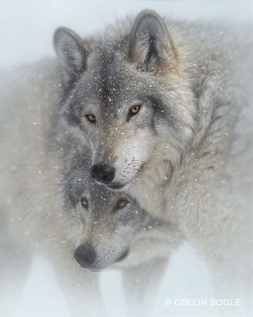 Wolf Art Prints, Wolf Paintings, Wolves Artist Collin Bogle – Collin ...