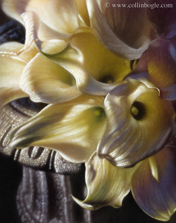 Flower Art Prints | Floral Paintings | Collin Bogle Nature Art