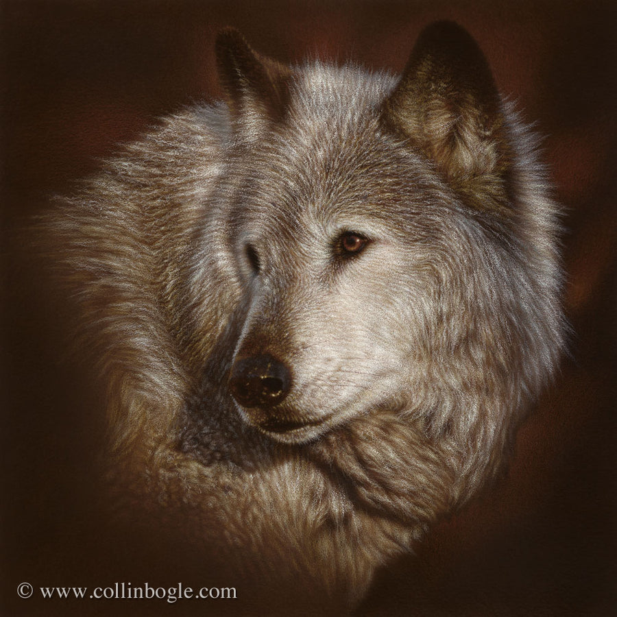 Wolf Art Prints, Wolf Paintings, Wolves Artist Collin Bogle – Collin ...