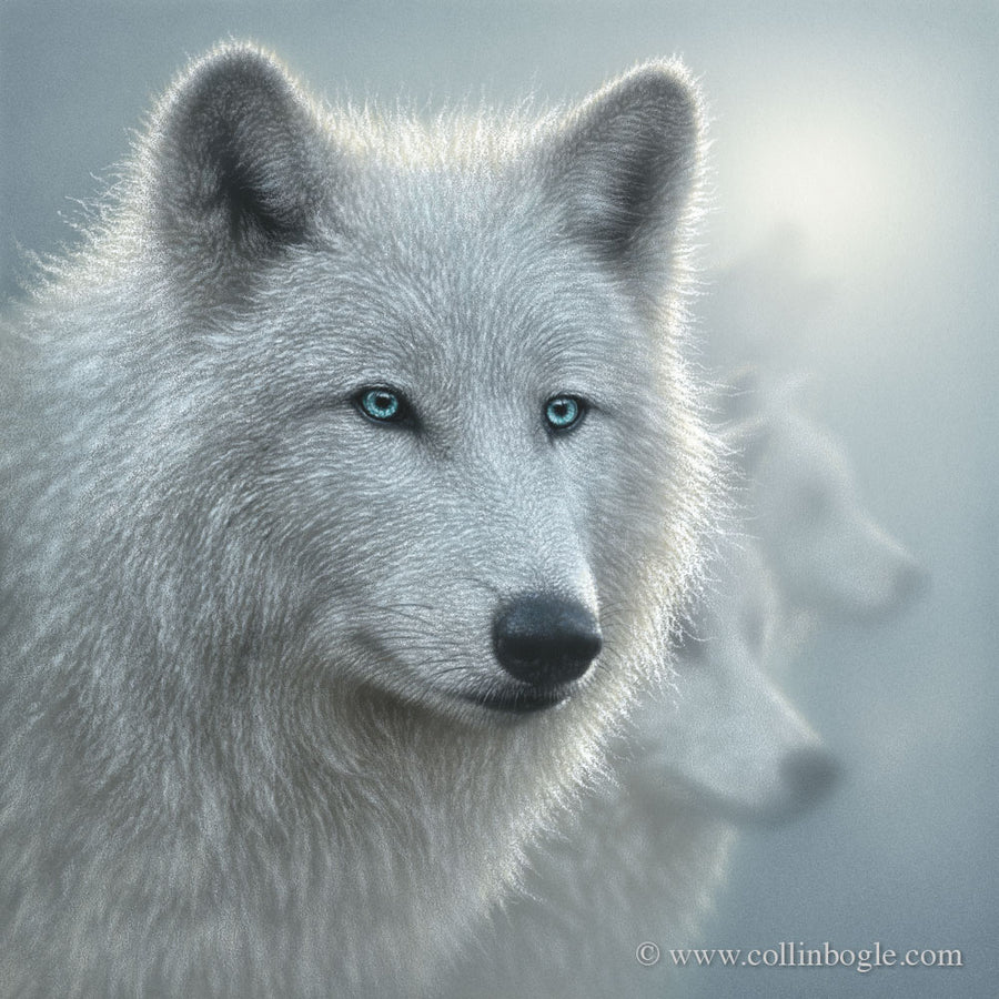 Wolf Art Prints, Wolf Paintings, Wolves Artist Collin Bogle – Collin ...