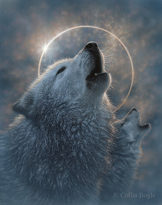 Wolf Art Prints, Wolf Paintings, Wolves Artist Collin Bogle – Collin ...
